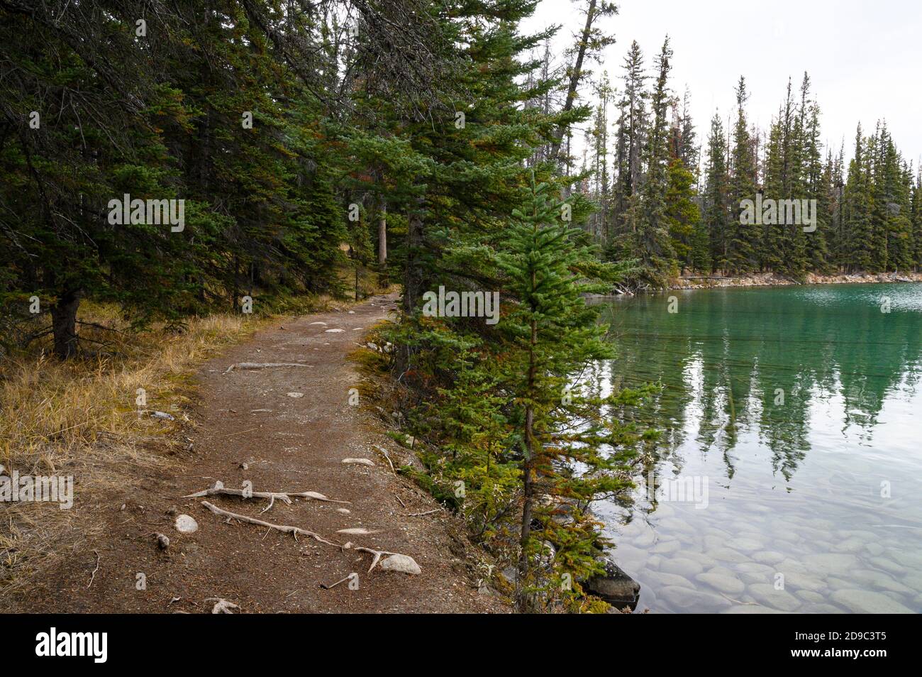 Hiking trail around the lake hi-res stock photography and images - Alamy