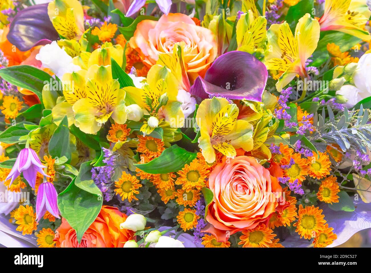 a bouquet of different bright colors Stock Photo - Alamy