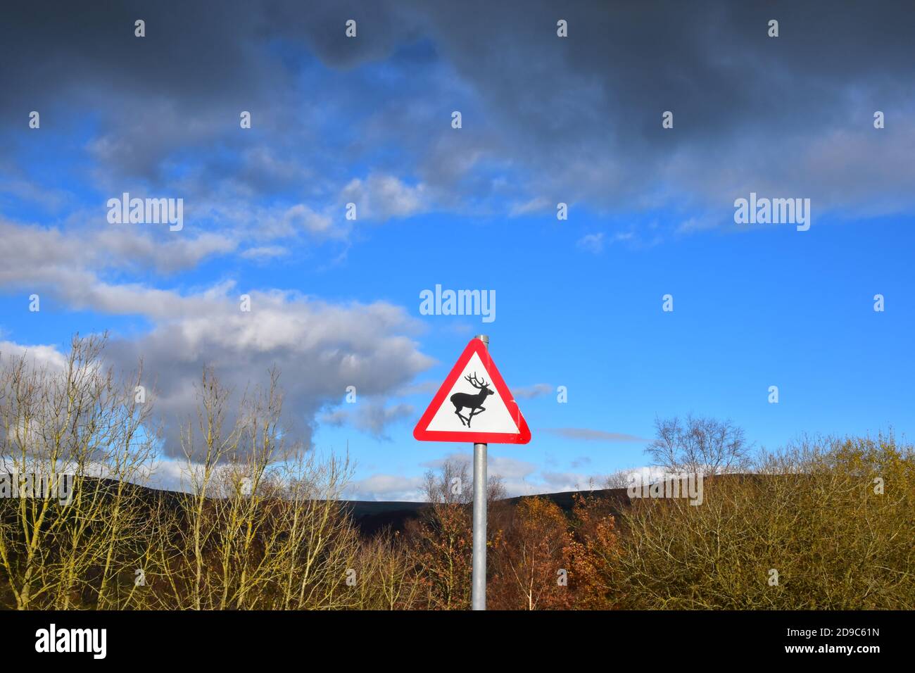 Red Triangle Deer Warning Sign Stock Photo - Alamy