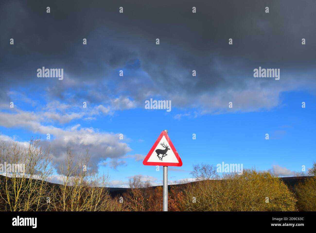 Red Triangle Deer Warning Sign Stock Photo - Alamy
