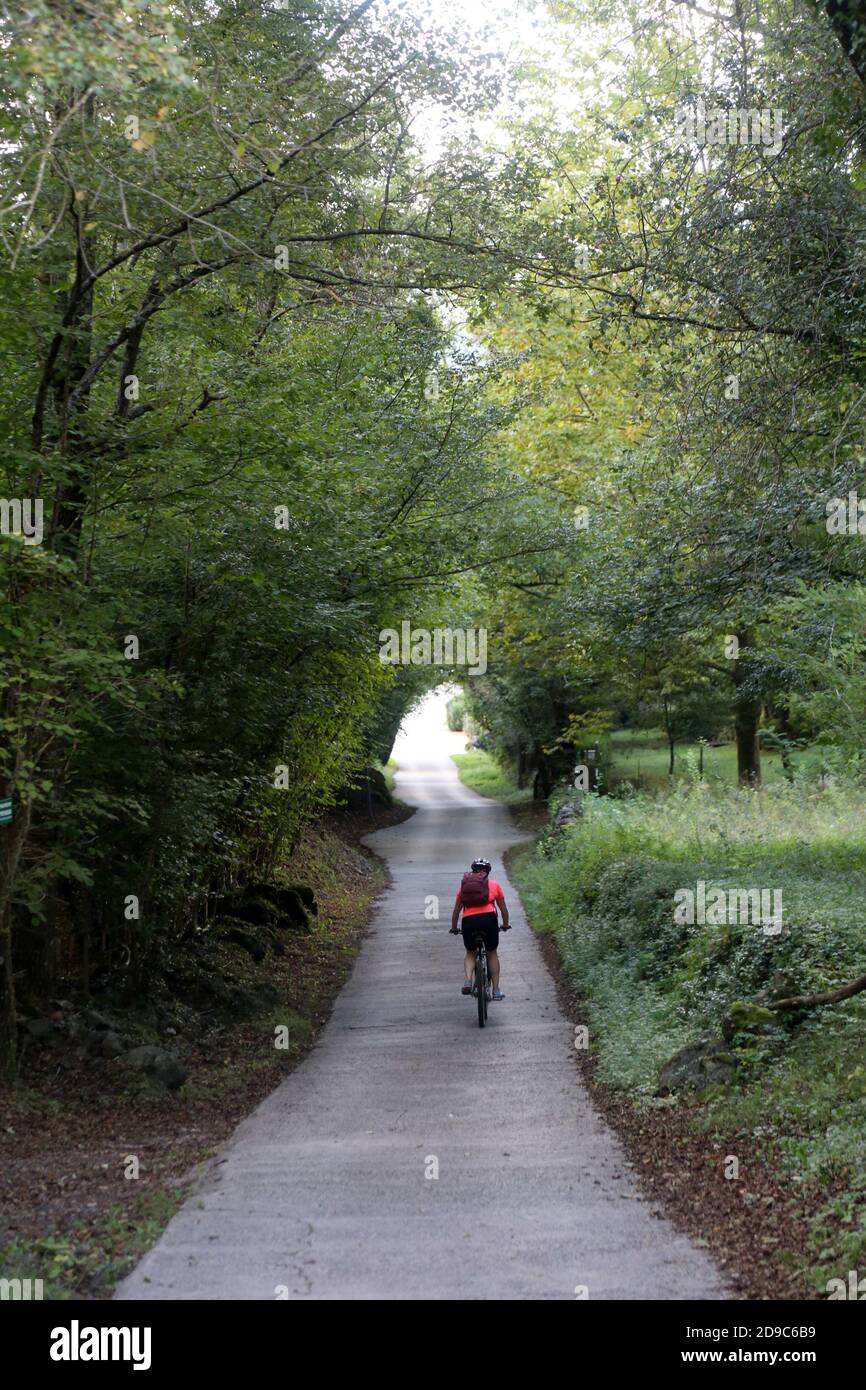 biking in a path between fields and green trees Stock Photo - Alamy