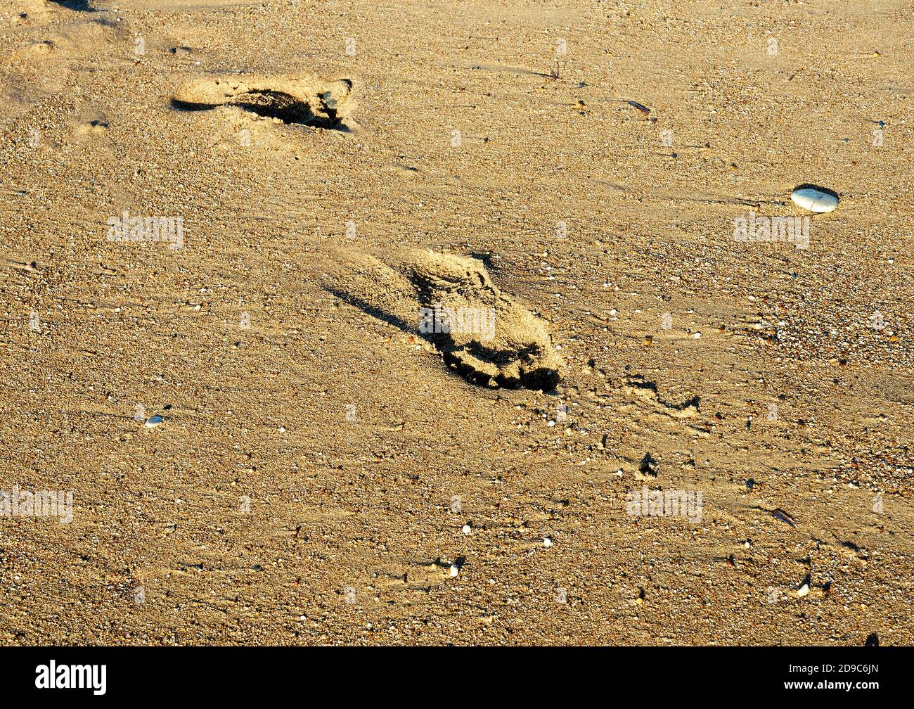 photo steps at sunrise on the beach Stock Photo - Alamy