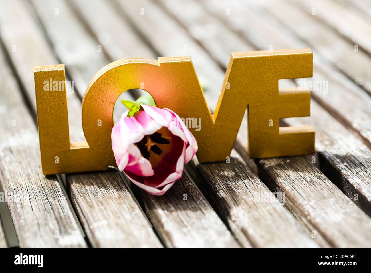 A Alphabet Love Wallpaper