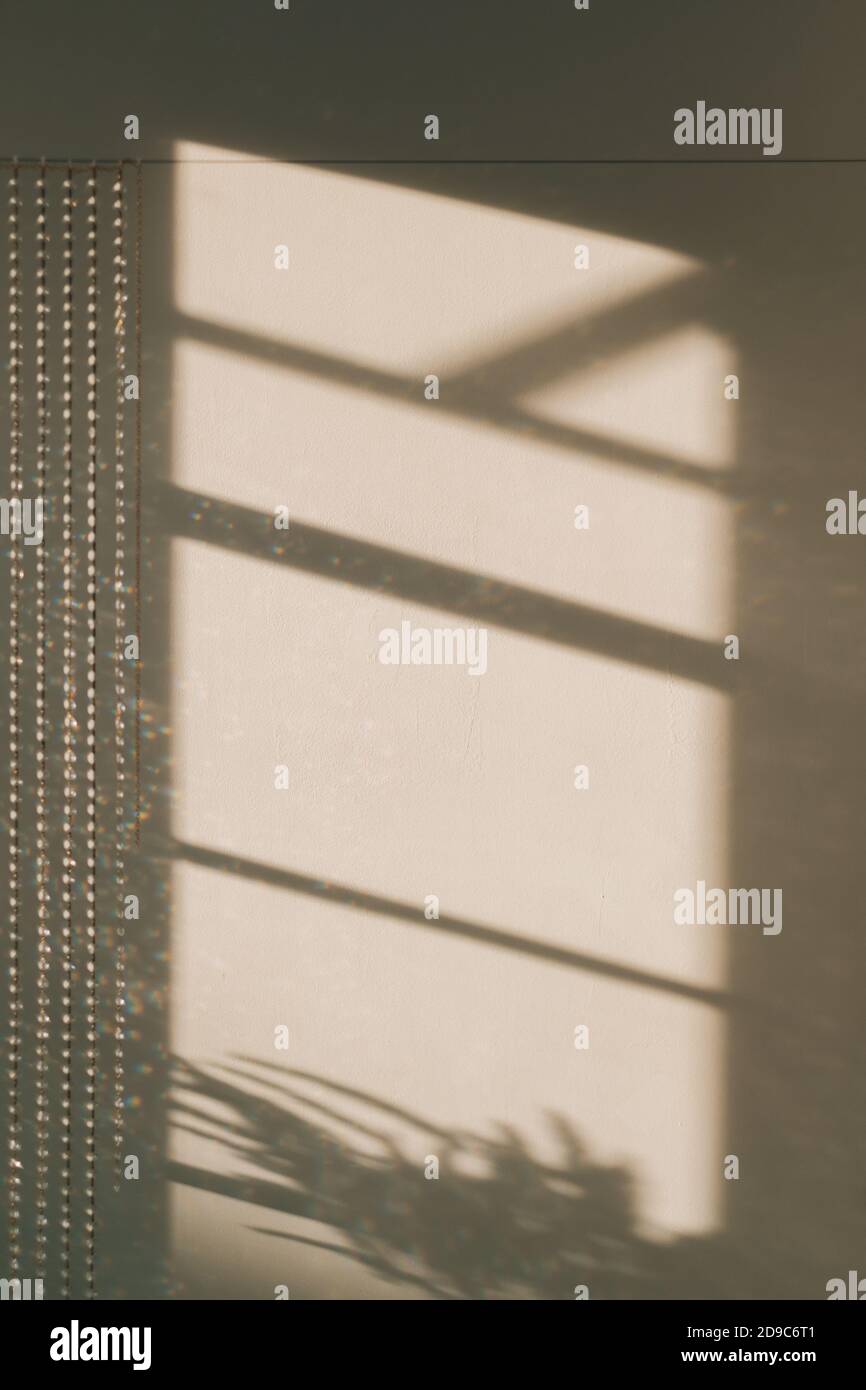 White wall with warm window shadow Stock Photo - Alamy
