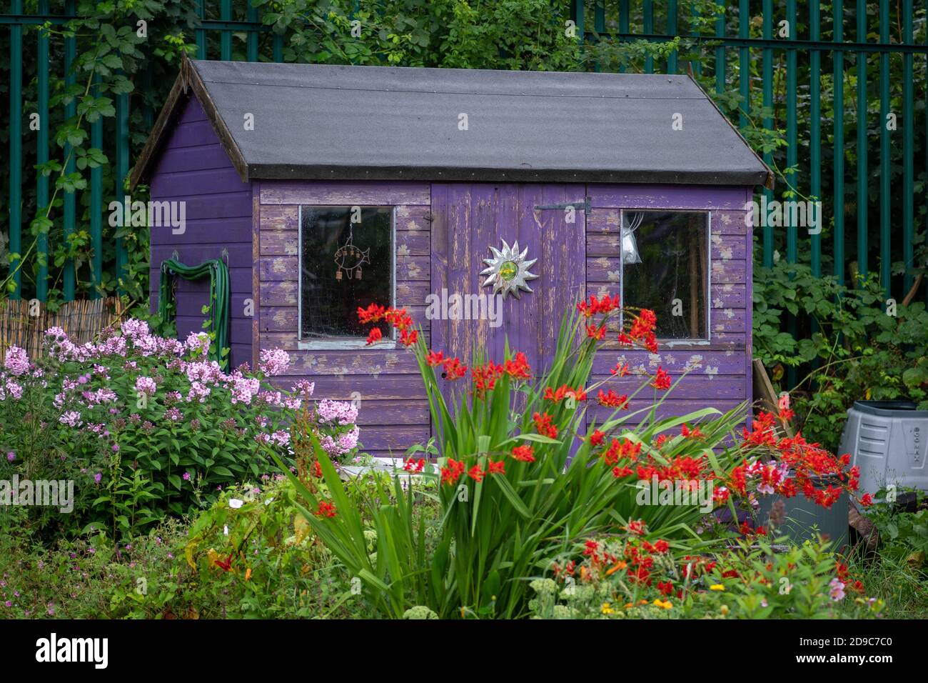 Purple Allotment Shed, Manchester Stock Photo - Alamy