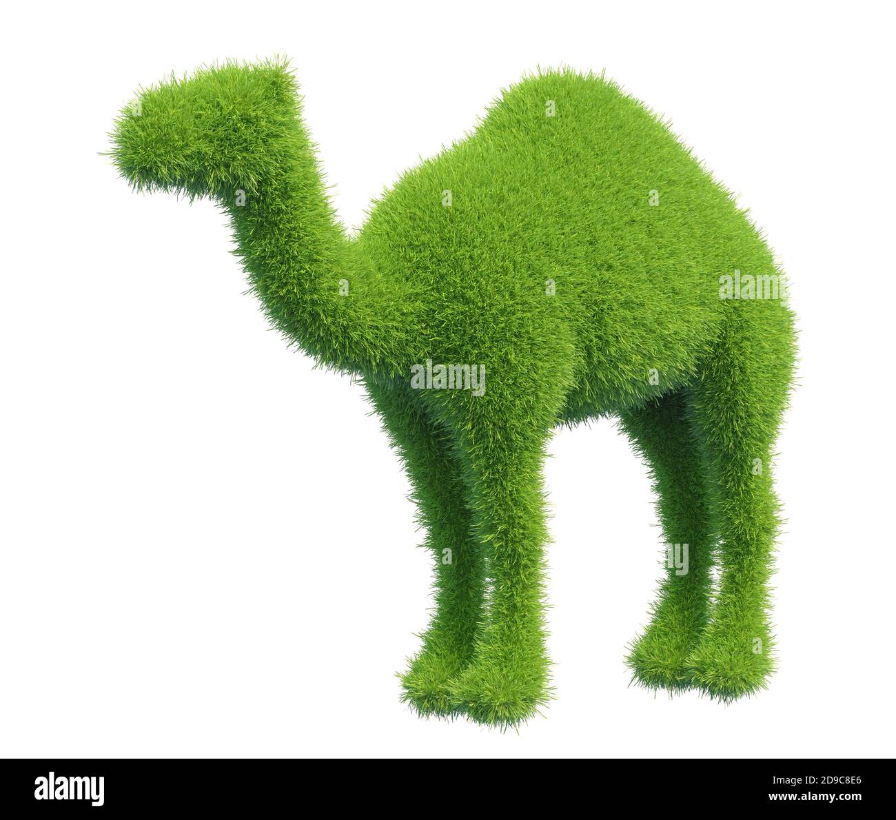 Green grass in desert Cut Out Stock Images & Pictures - Alamy