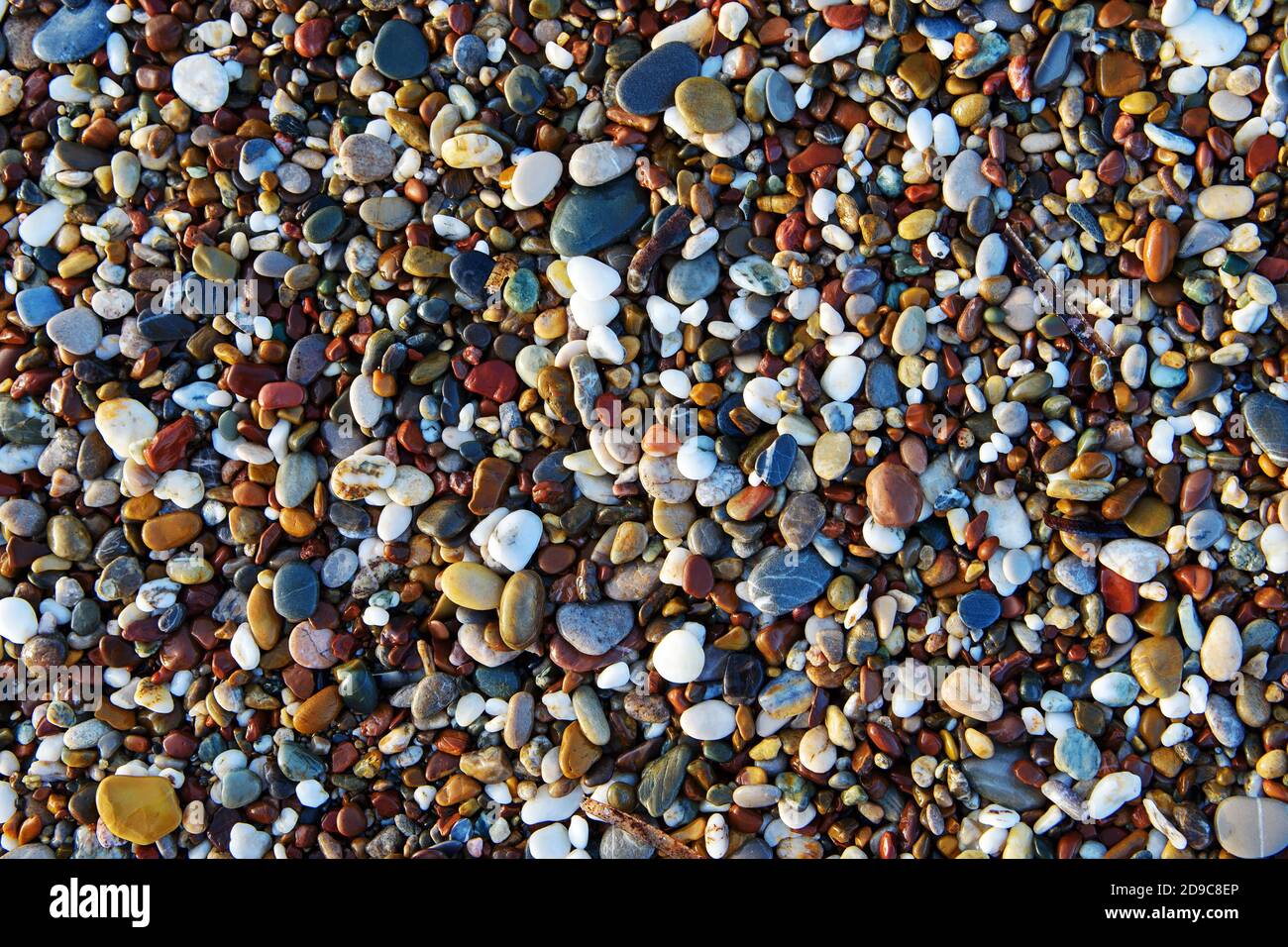 Rocks on a pebble beach. Background of multicolored stones. Background ...