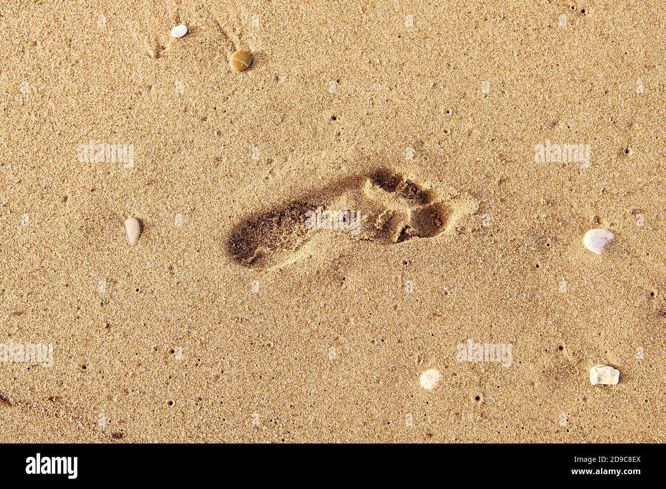Step one foot on the sand during sunrise - Golden sunrise - footprints ...