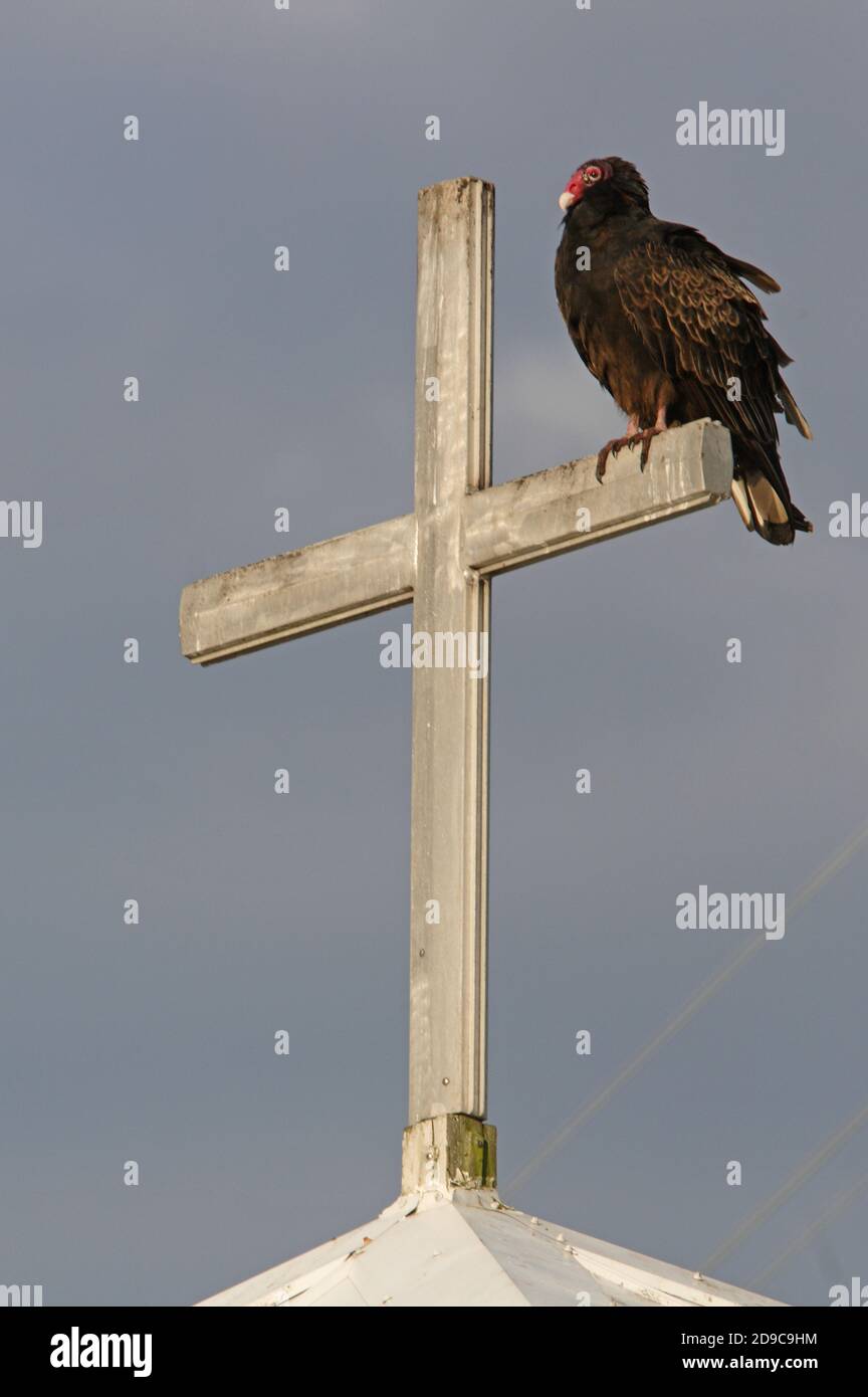 Aura with cross hi-res stock photography and images - Alamy