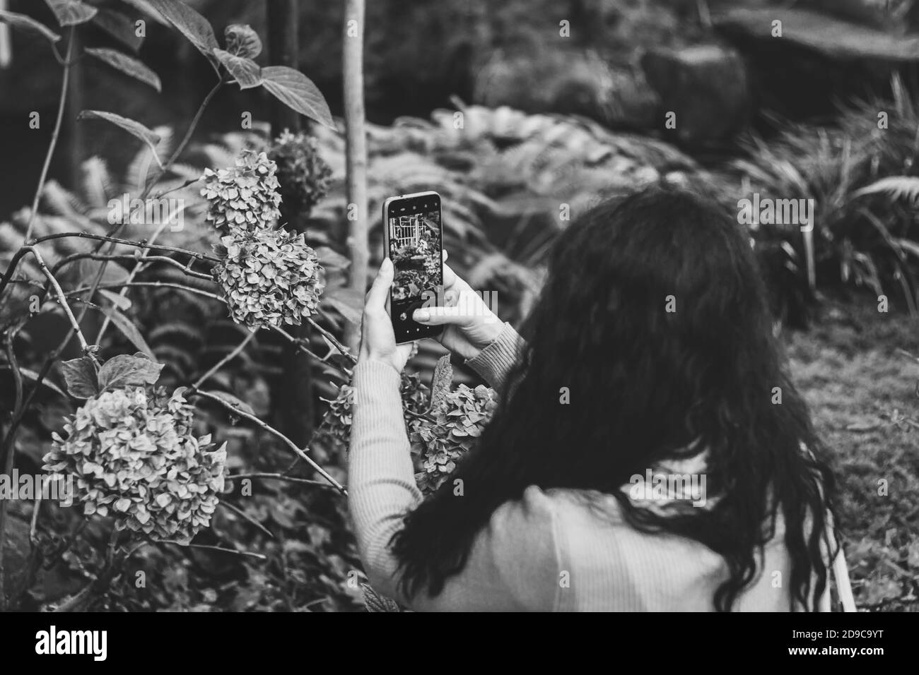 Woman taking picture photo Black and White Stock Photos & Images - Alamy