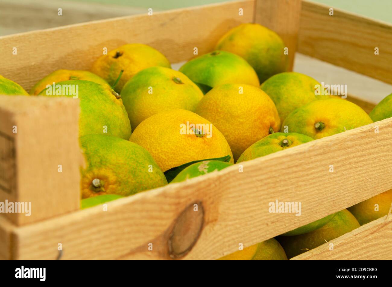 Box mandarin oranges hi-res stock photography and images - Alamy