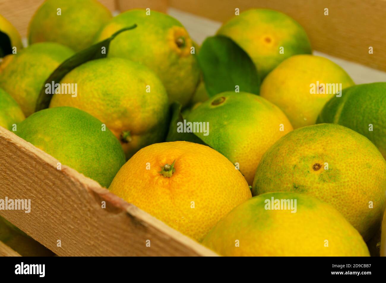 Box mandarin oranges hi-res stock photography and images - Alamy