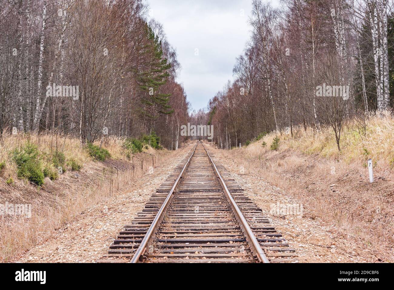 Single railway line at autumn day time Stock Photo - Alamy