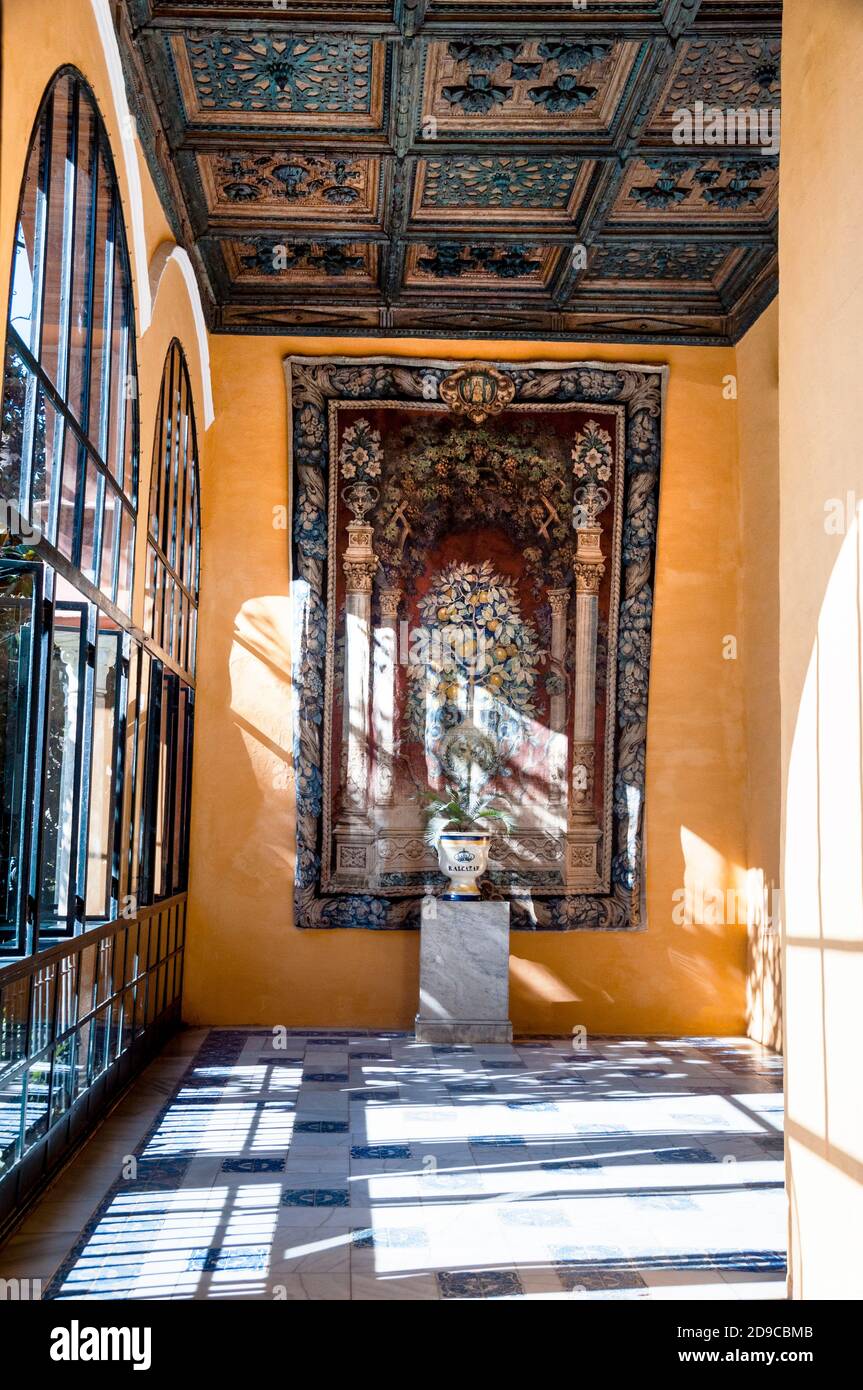 Wood paneled ceiling sunlit room Palacio Gótico of the Real Alcàzar de ...