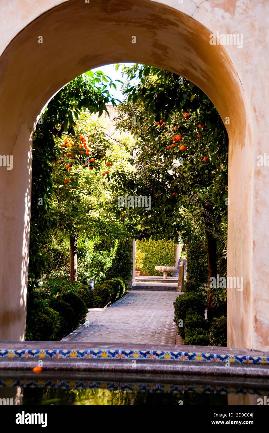 Sevilla Orange High Resolution Stock Photography and Images - Alamy