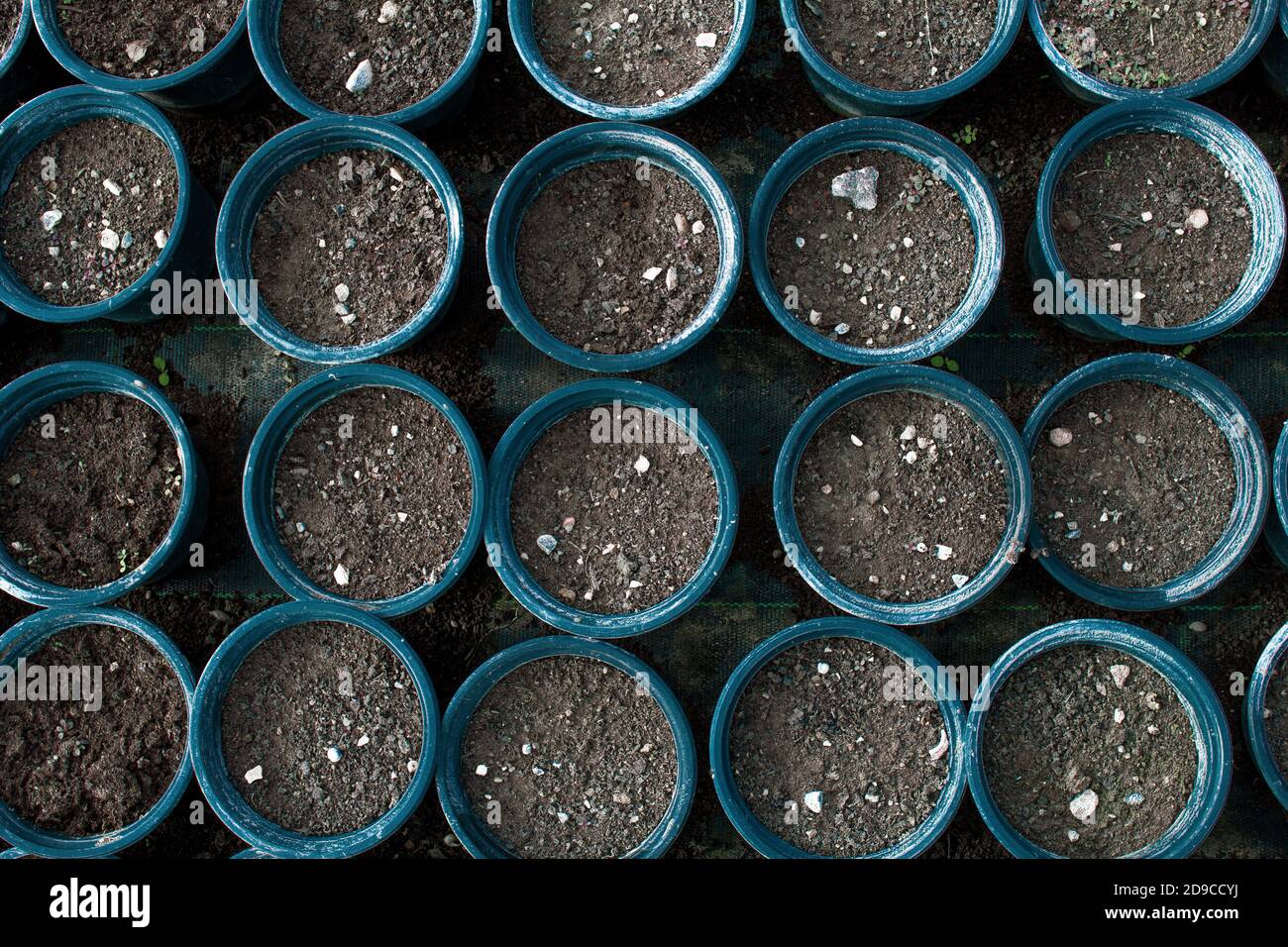 Top view of flower pots filled with soil. Preparing plastic pots for ...