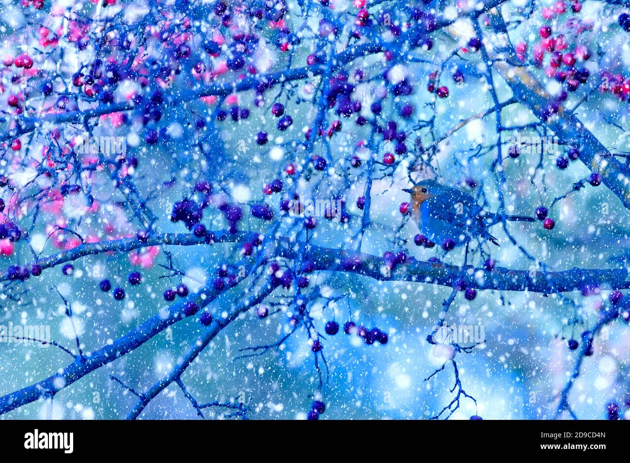 Winter season and animals. Falling snow. Nature background Stock Photo ...
