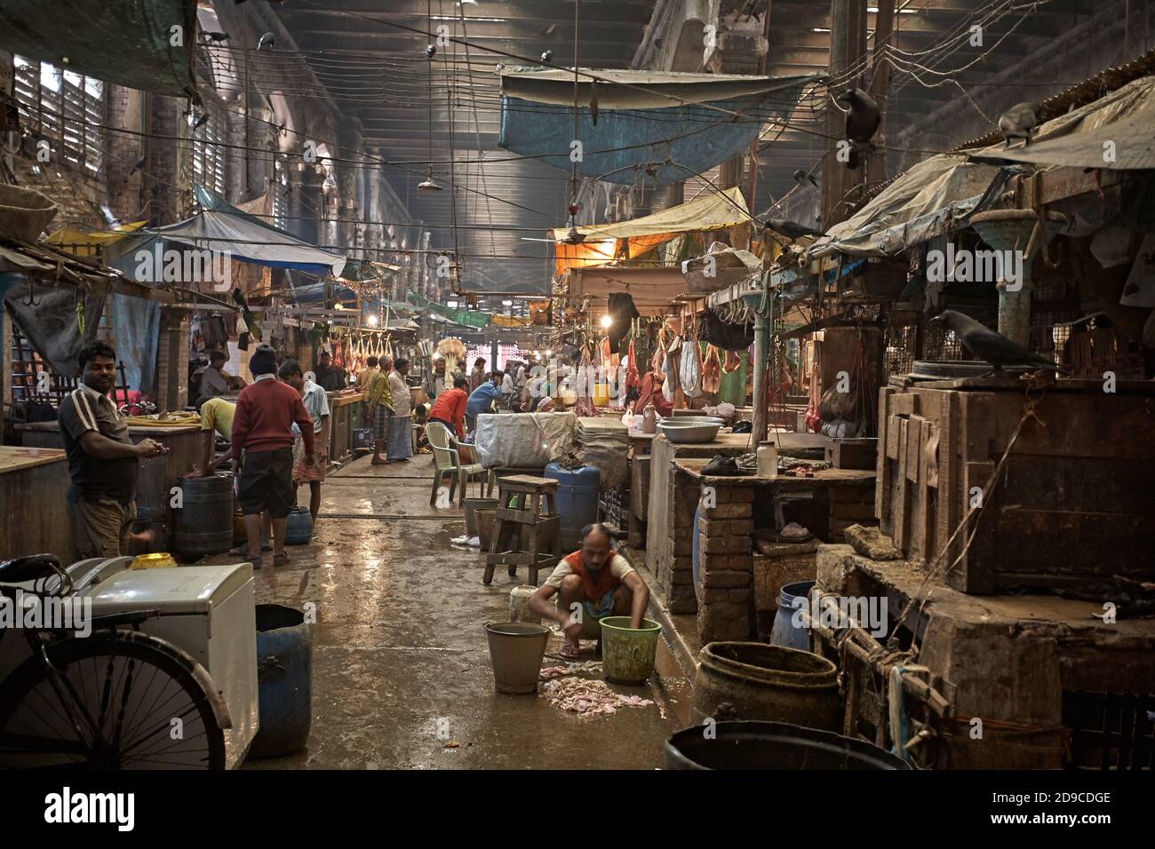 Calcutta kolkata india january hi-res stock photography and images - Alamy