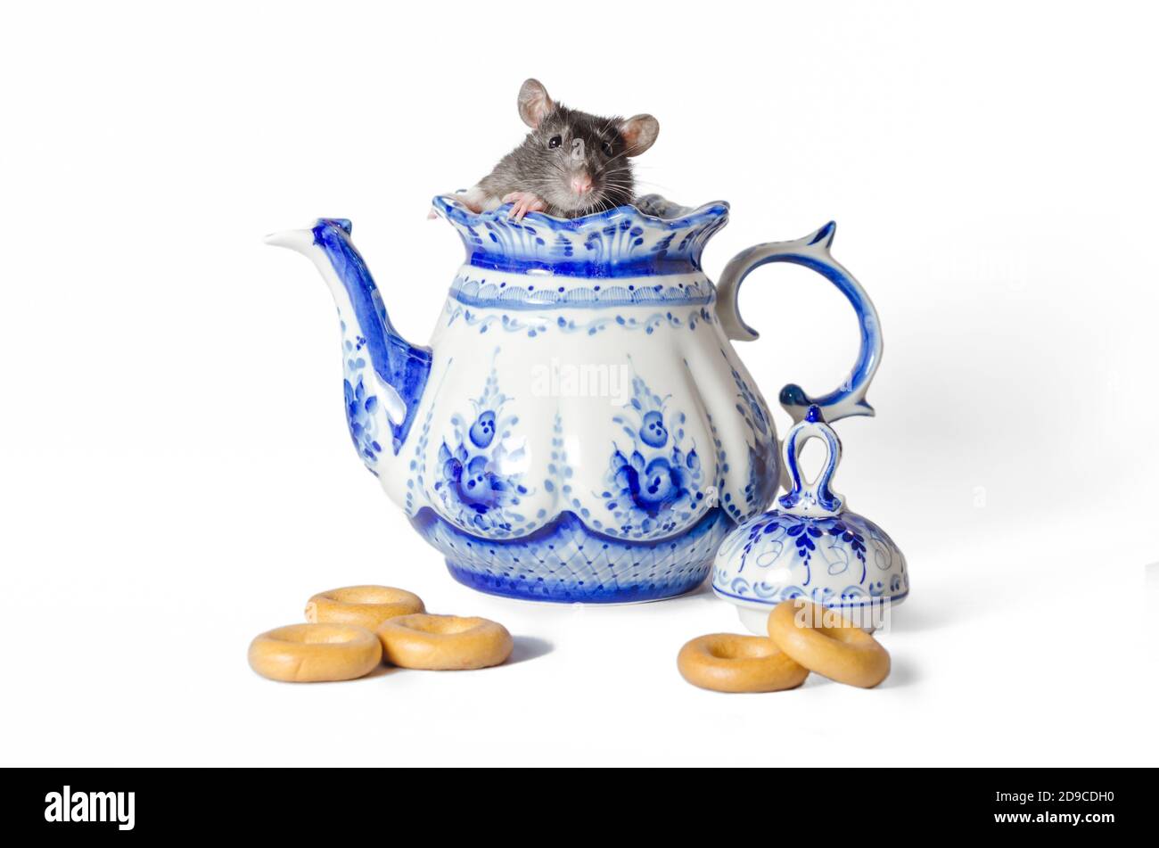 Russian tea party rat inside gzhel teapot, bagels on a white background ...