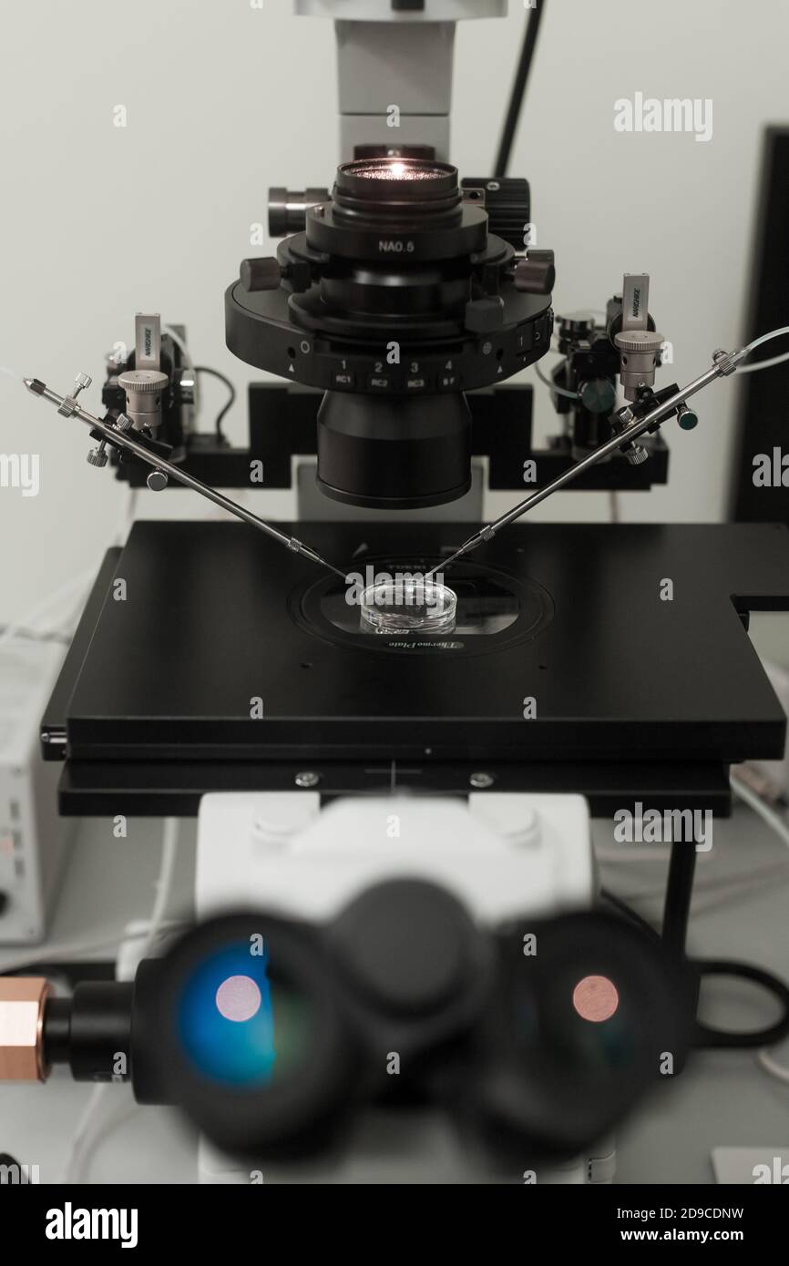 Equipment on laboratory of Fertilization, IVF. Microscope of ...