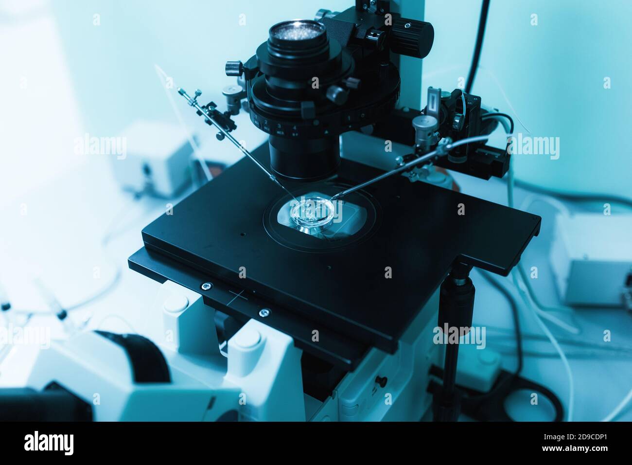 Microscope of reproductive medicine clinic fertilizing egg outside ...