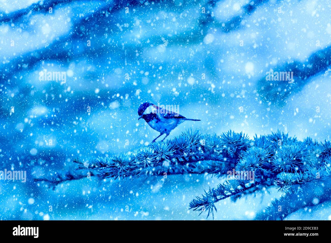 Winter season and animals. Falling snow. Nature background Stock Photo ...