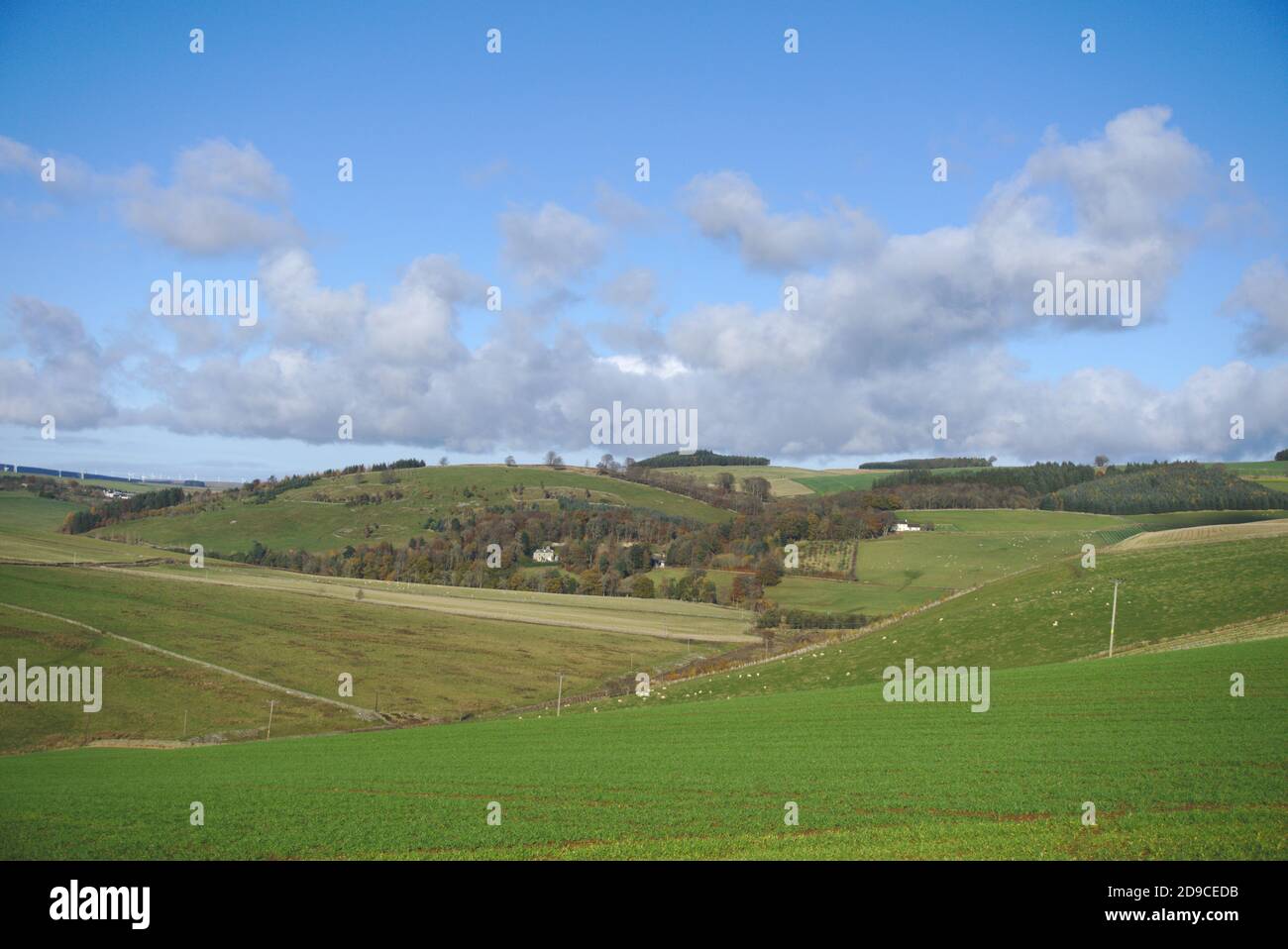 Farmland on the hill country between Stow of Wedale and Lauder ...