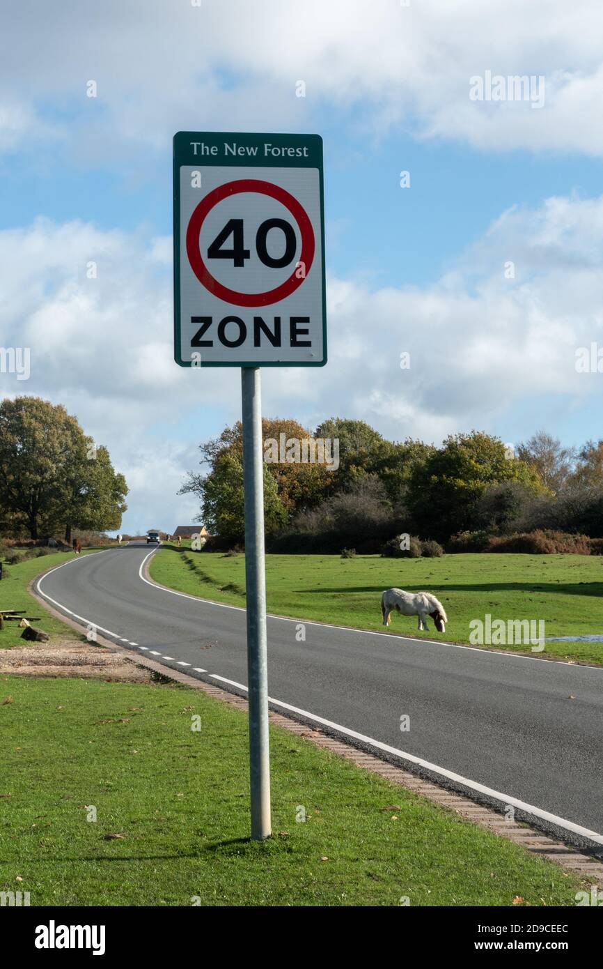 40 zone, 40 mph speed limit sign on a road in the New Forest National ...