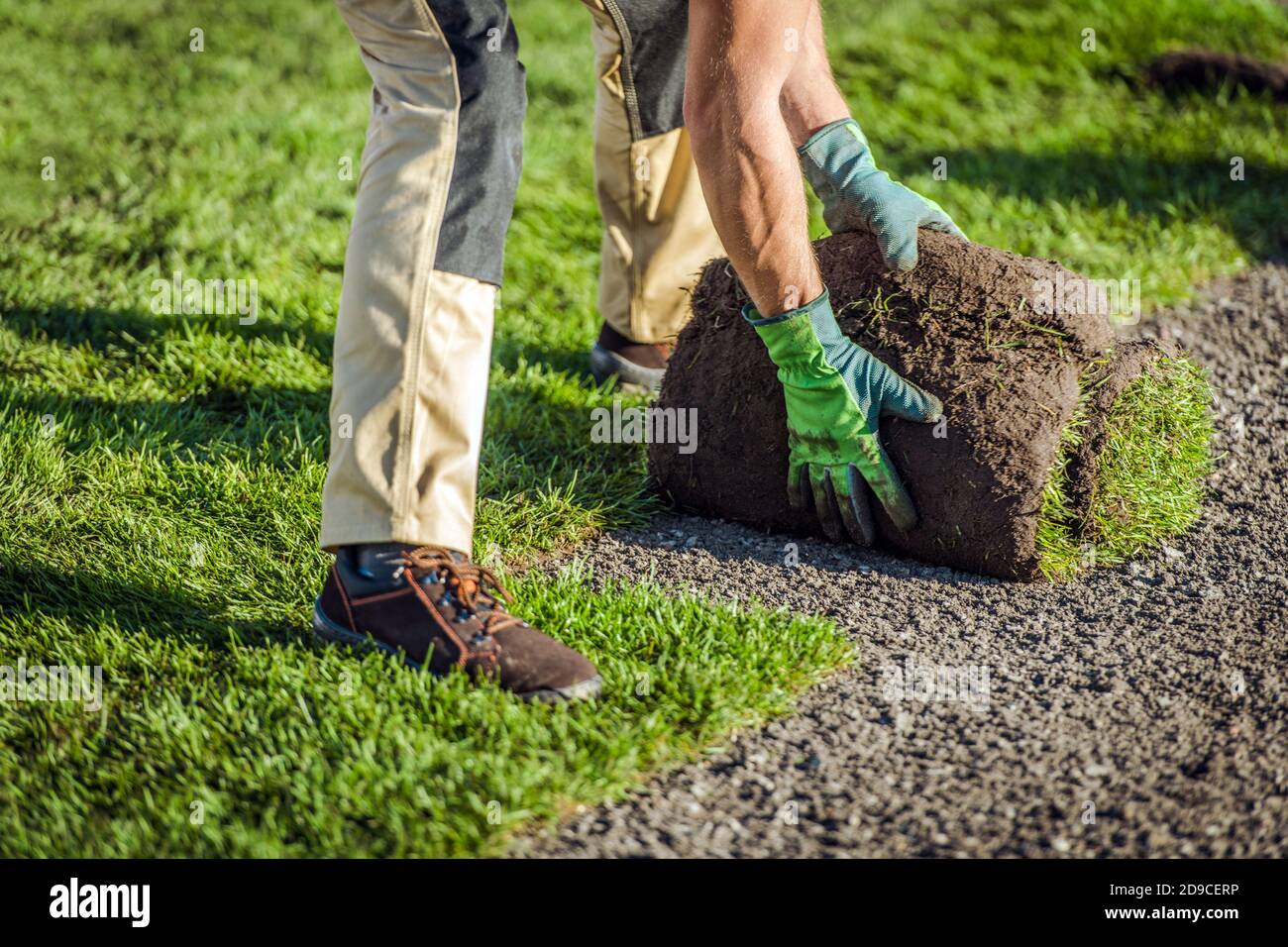 Caucasian Landscaping Worker and Natural Grass Turfs Installation ...