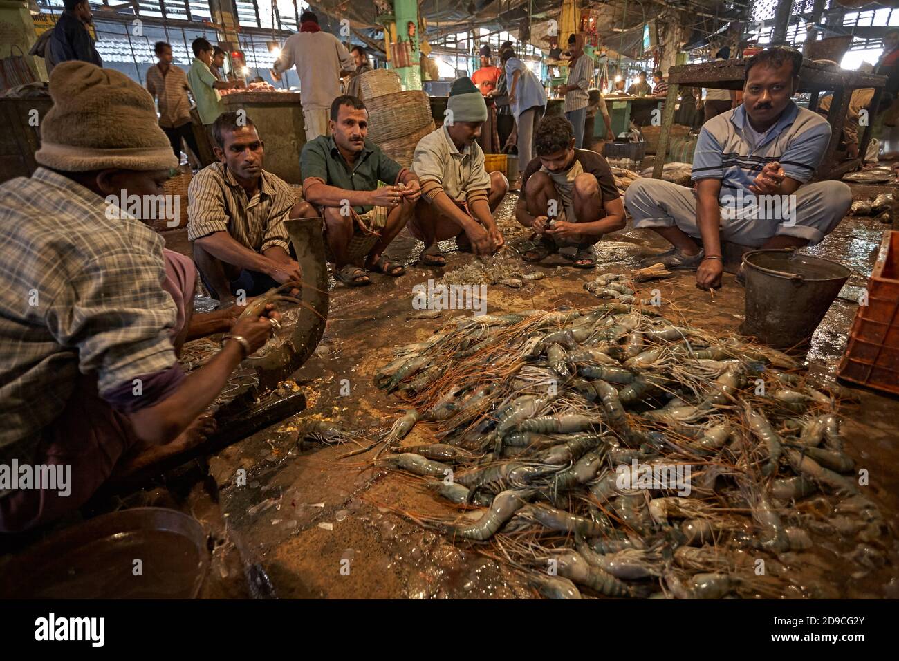 Kolkata, India, January 2008. People peeling shrimp on the ground in ...