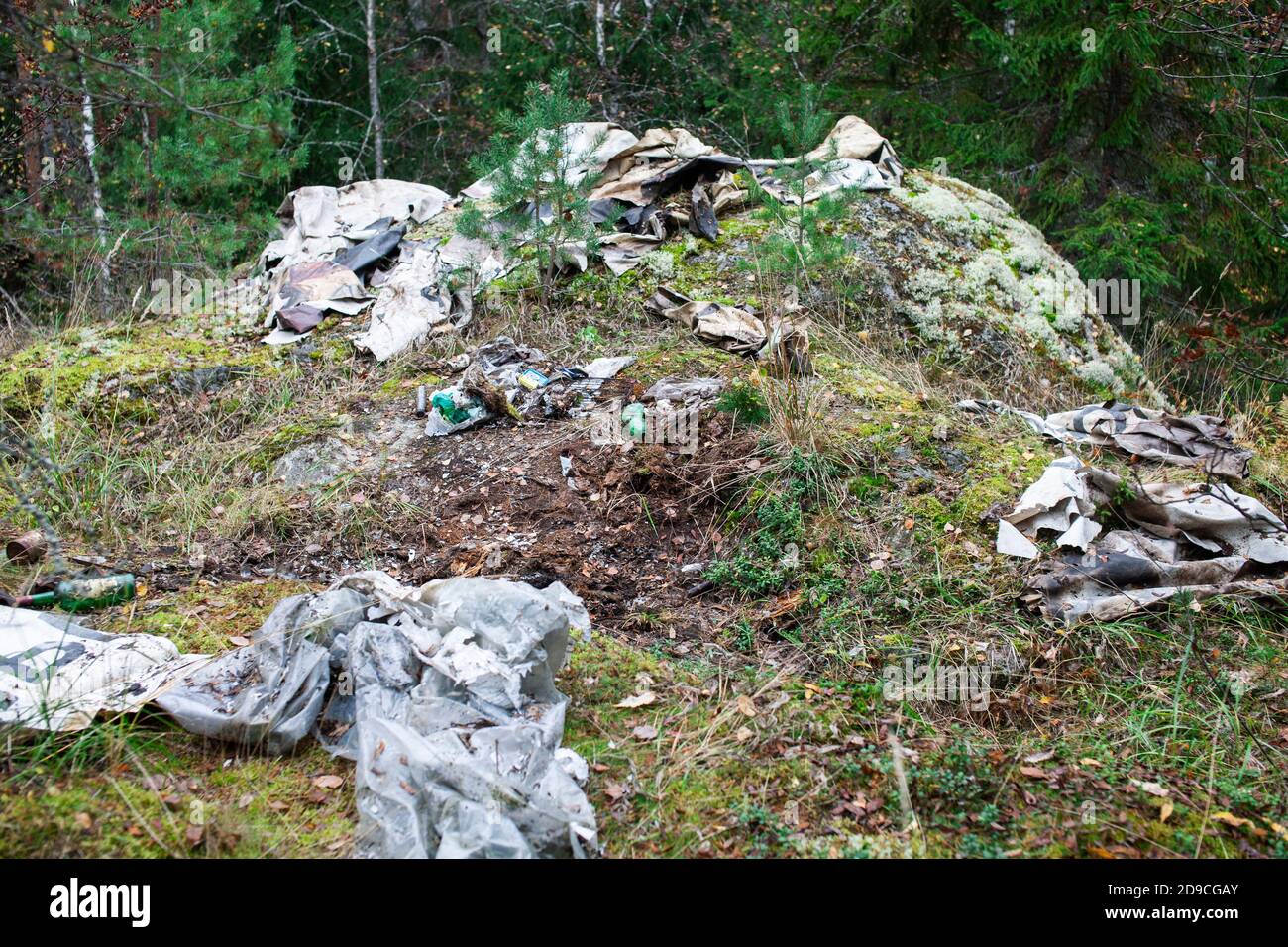 big amount of trash in forest, global environment issues Stock Photo ...