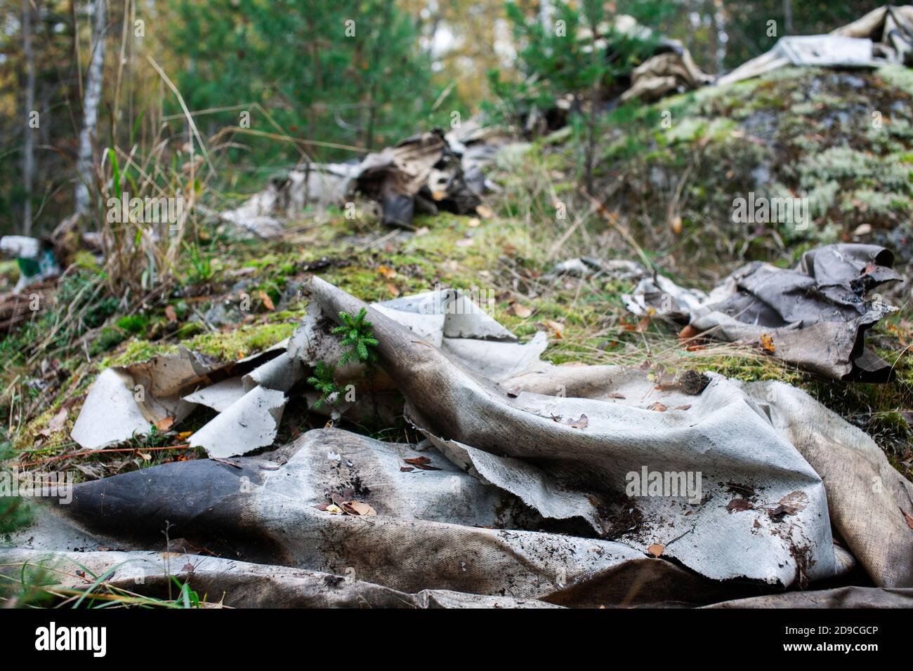 big amount of trash in forest, global environment issues Stock Photo ...