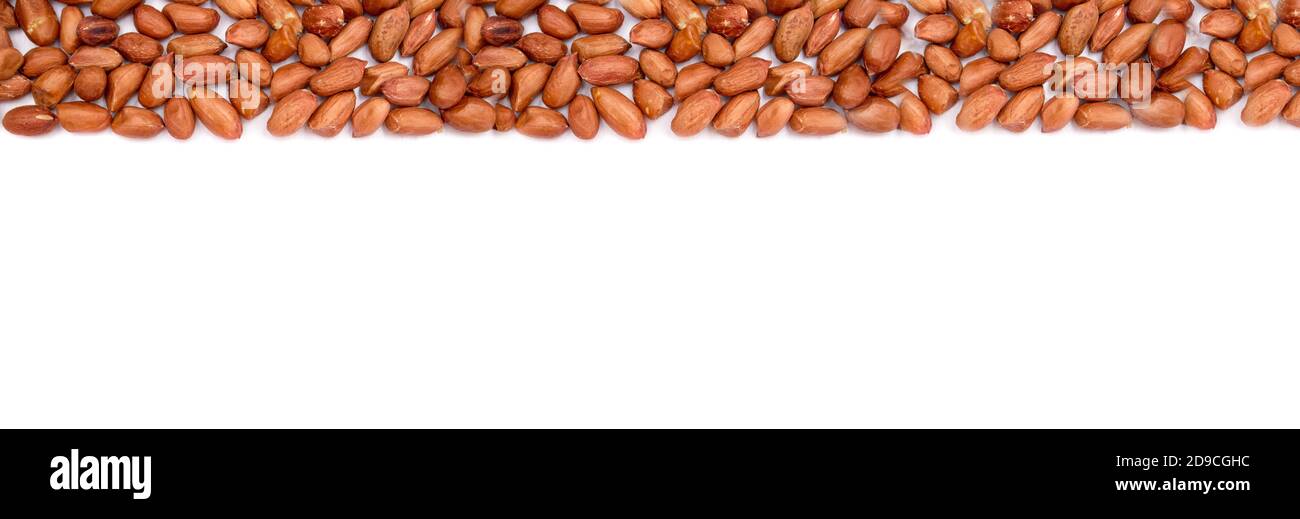 Peanuts banner. Uncleaned inshell nut peanuts isolated on white ...
