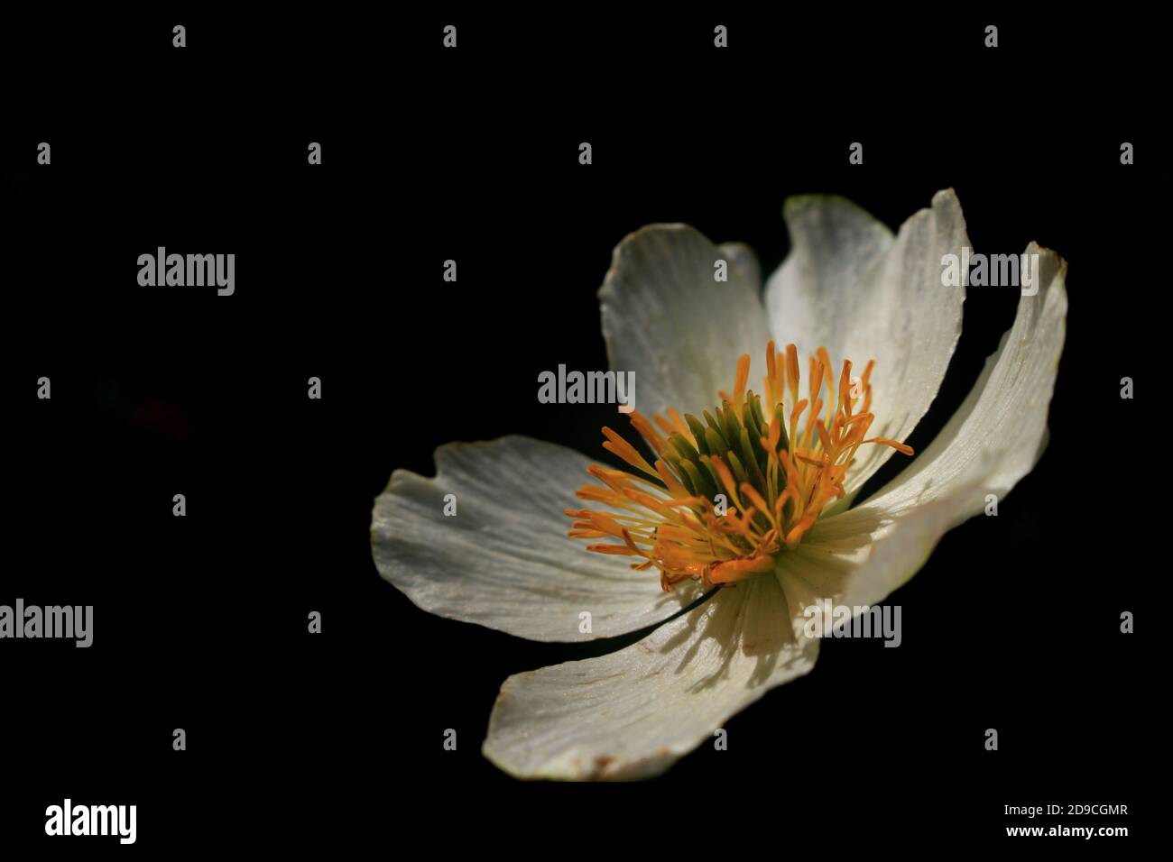 Underexposed hi-res stock photography and images - Alamy