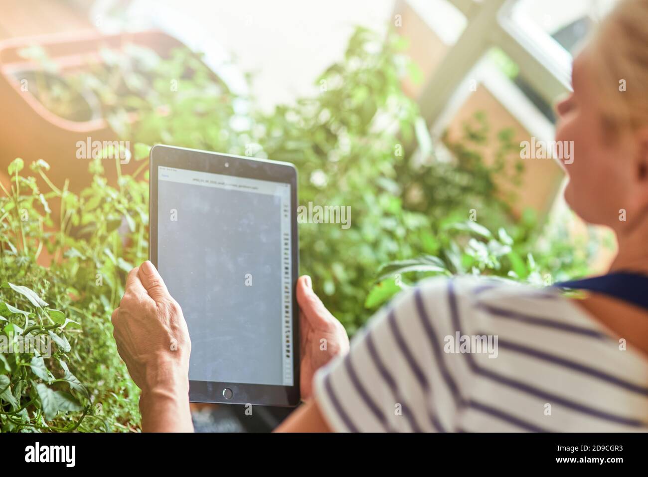 Businesswoman holding tablet green screen hi-res stock photography and ...