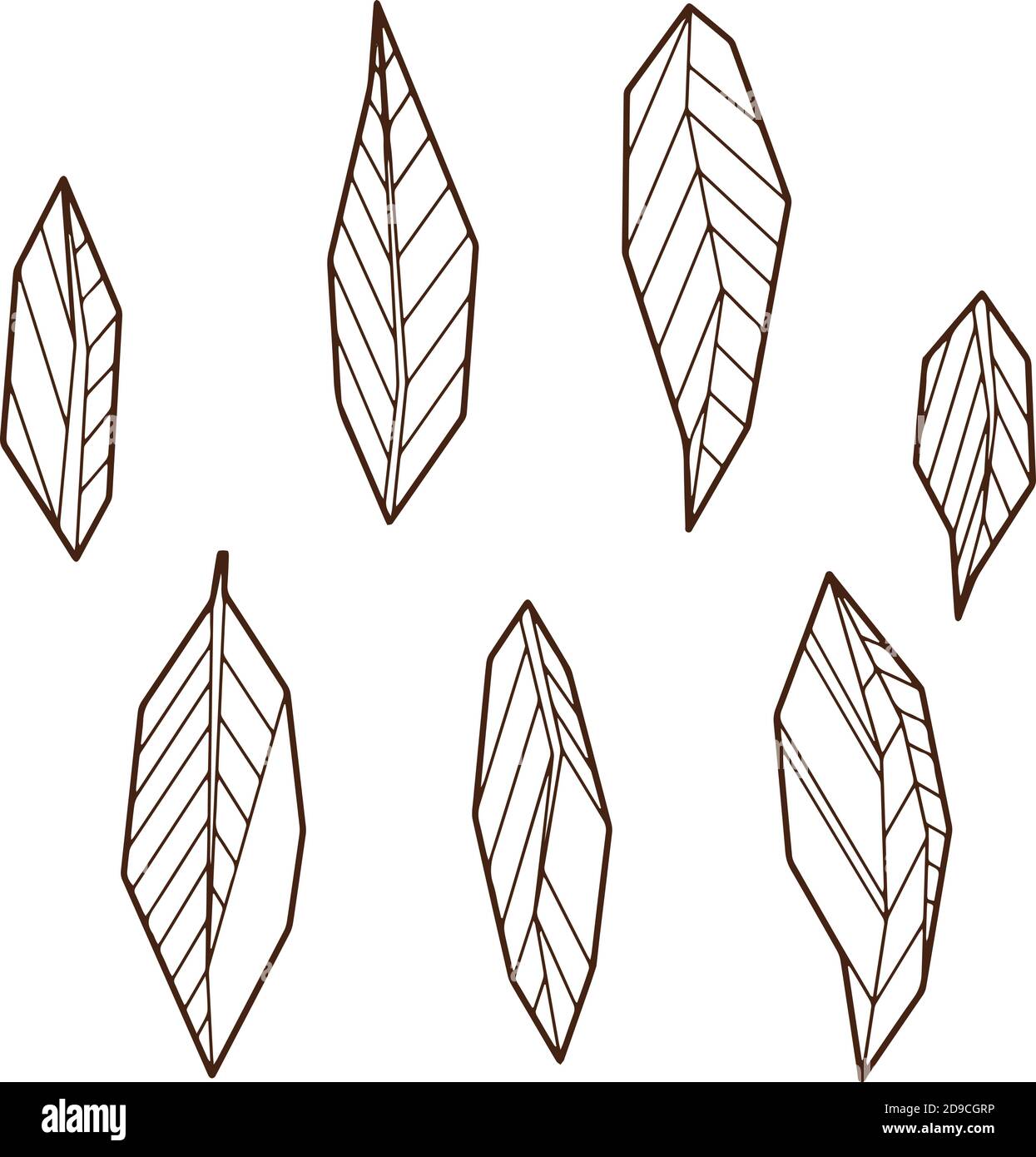Hand drawind geometrical leaves, Ylang-Ilang leaves line art Stock ...