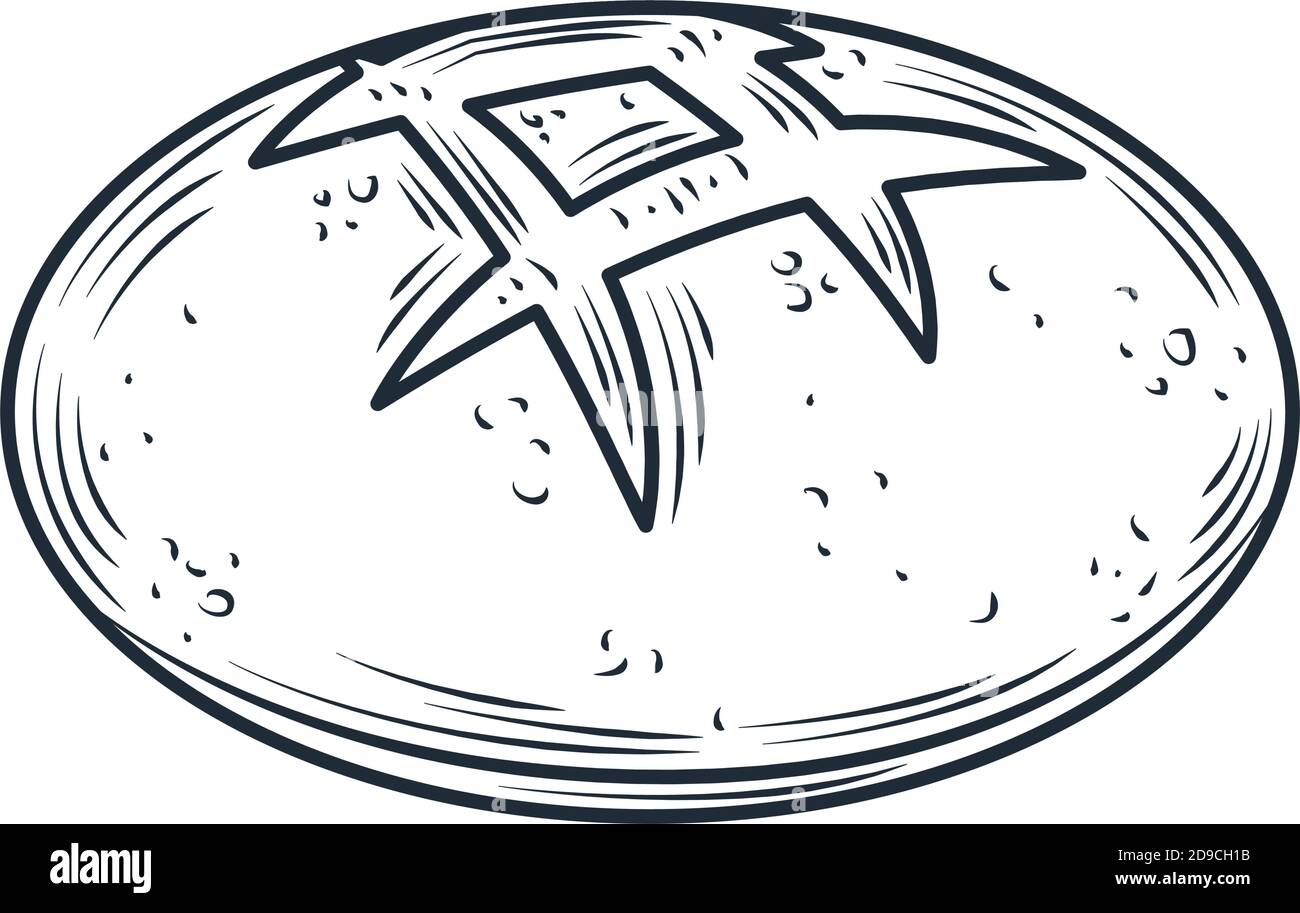 baked round bread icon sketch isolated on white vector illustration ...