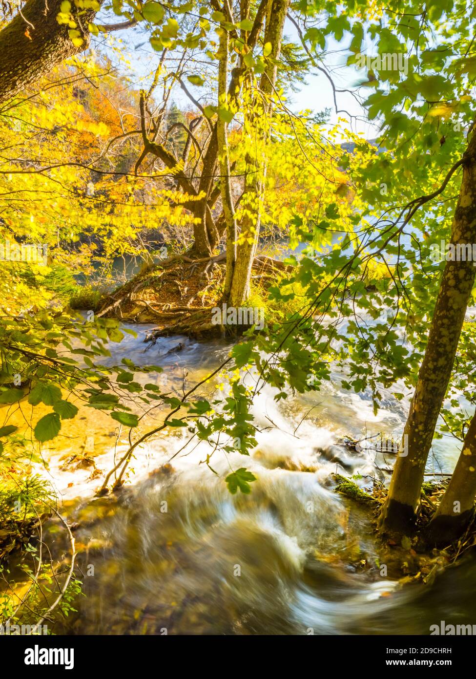 Canopy River High Resolution Stock Photography and Images - Alamy