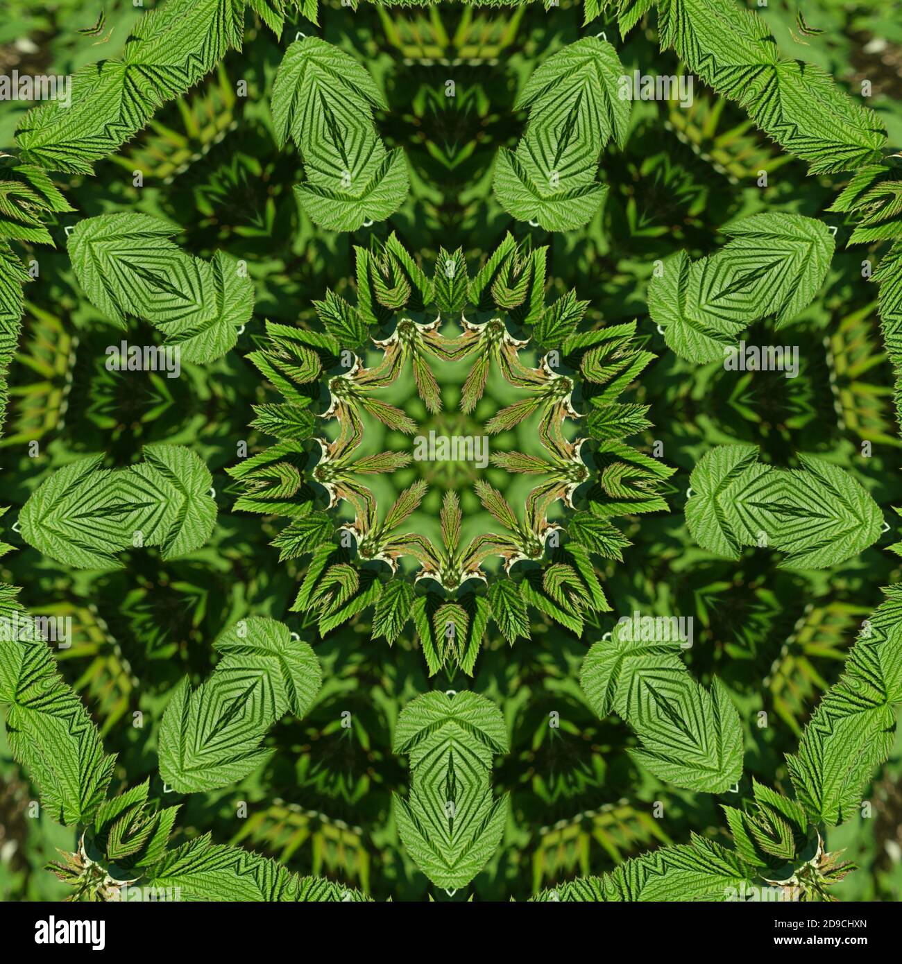 Abstract kaleidoscope background. Beautiful multicolor kaleidoscope ...