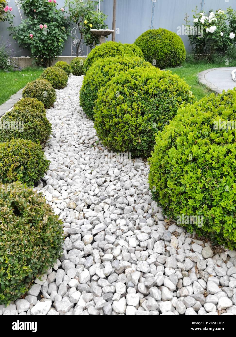 Boxwood garden hi-res stock photography and images - Alamy