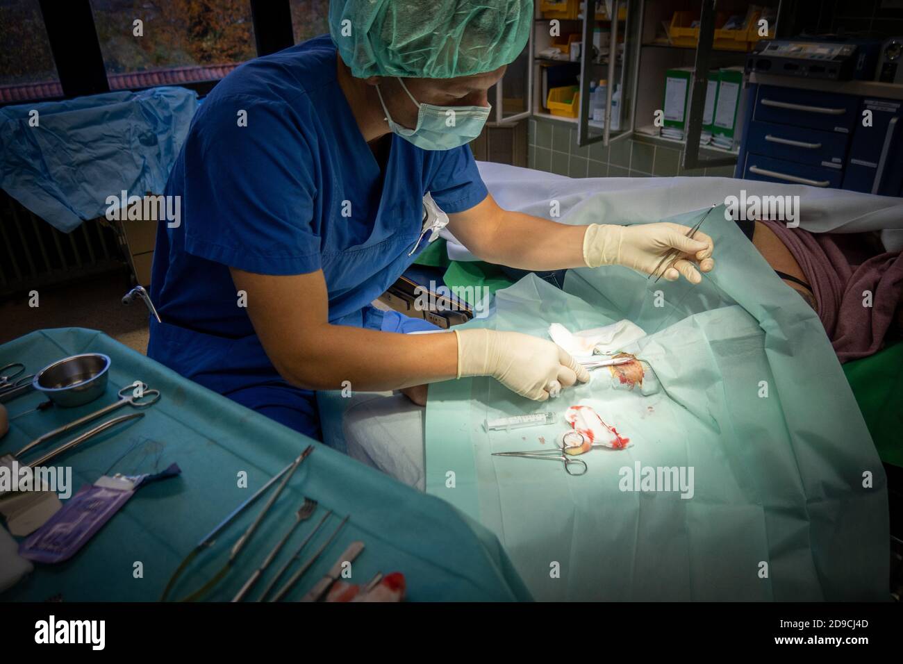 a surgeon sutures a small wound on a patient with needle holder and ...