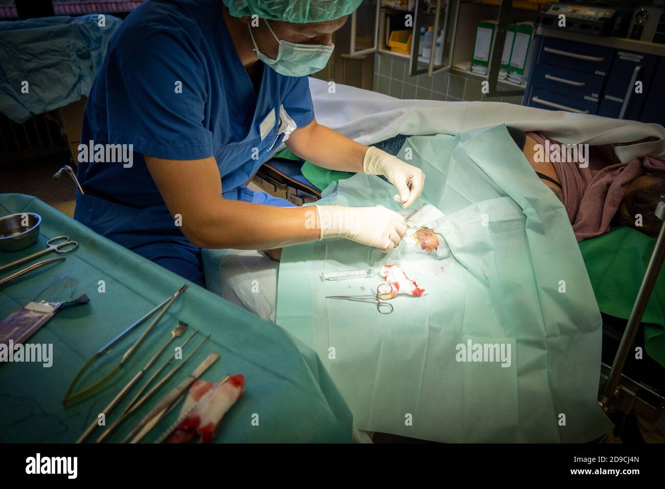 a surgeon sutures a small wound on a patient with needle holder and ...