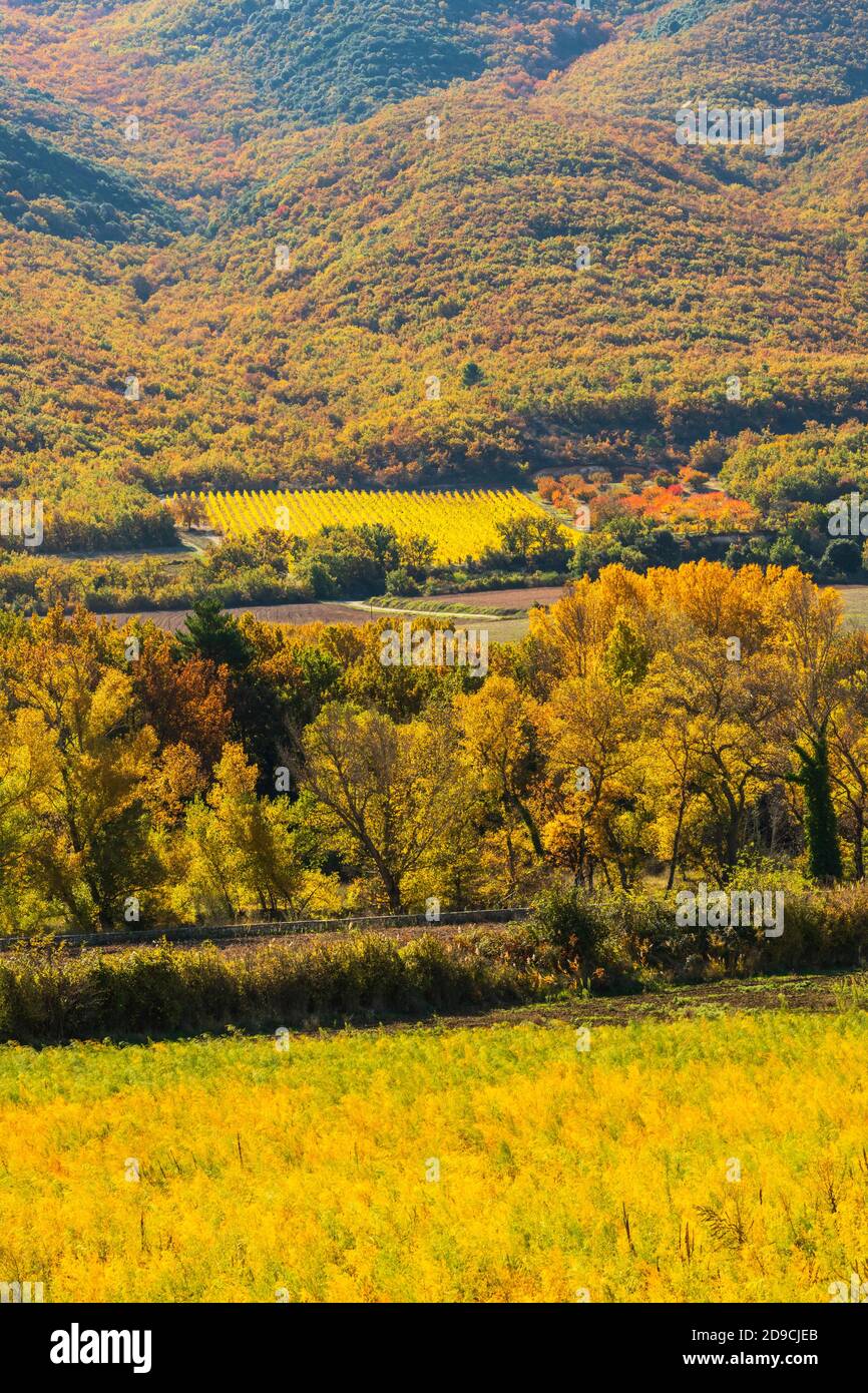 Autumn colours in the French countryside Stock Photo - Alamy