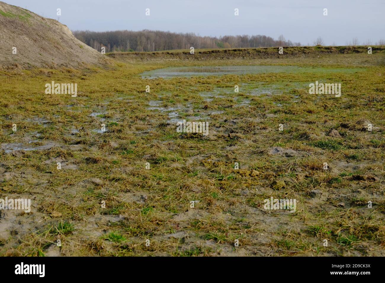 The exposed bottom of a dry pond. A shallow water body Stock Photo - Alamy