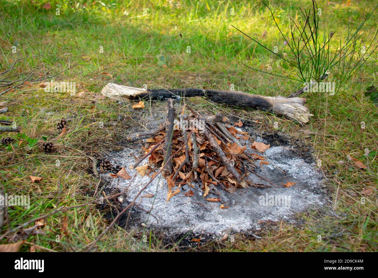 Unlit campfire hi-res stock photography and images - Alamy