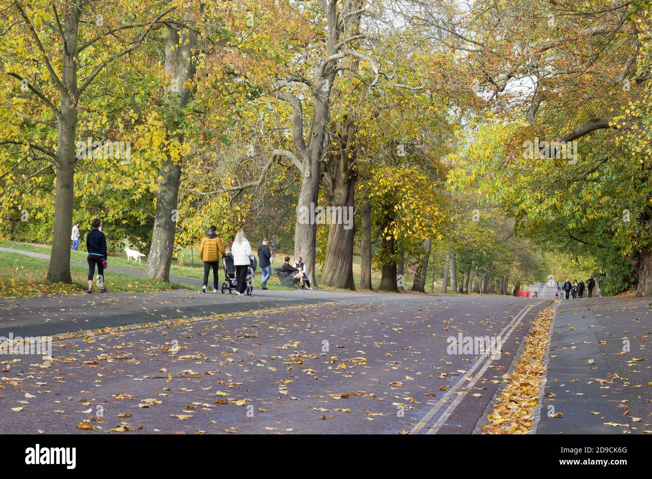 People enjoyed an afternoon walking in Greenwich park during covid-19 ...