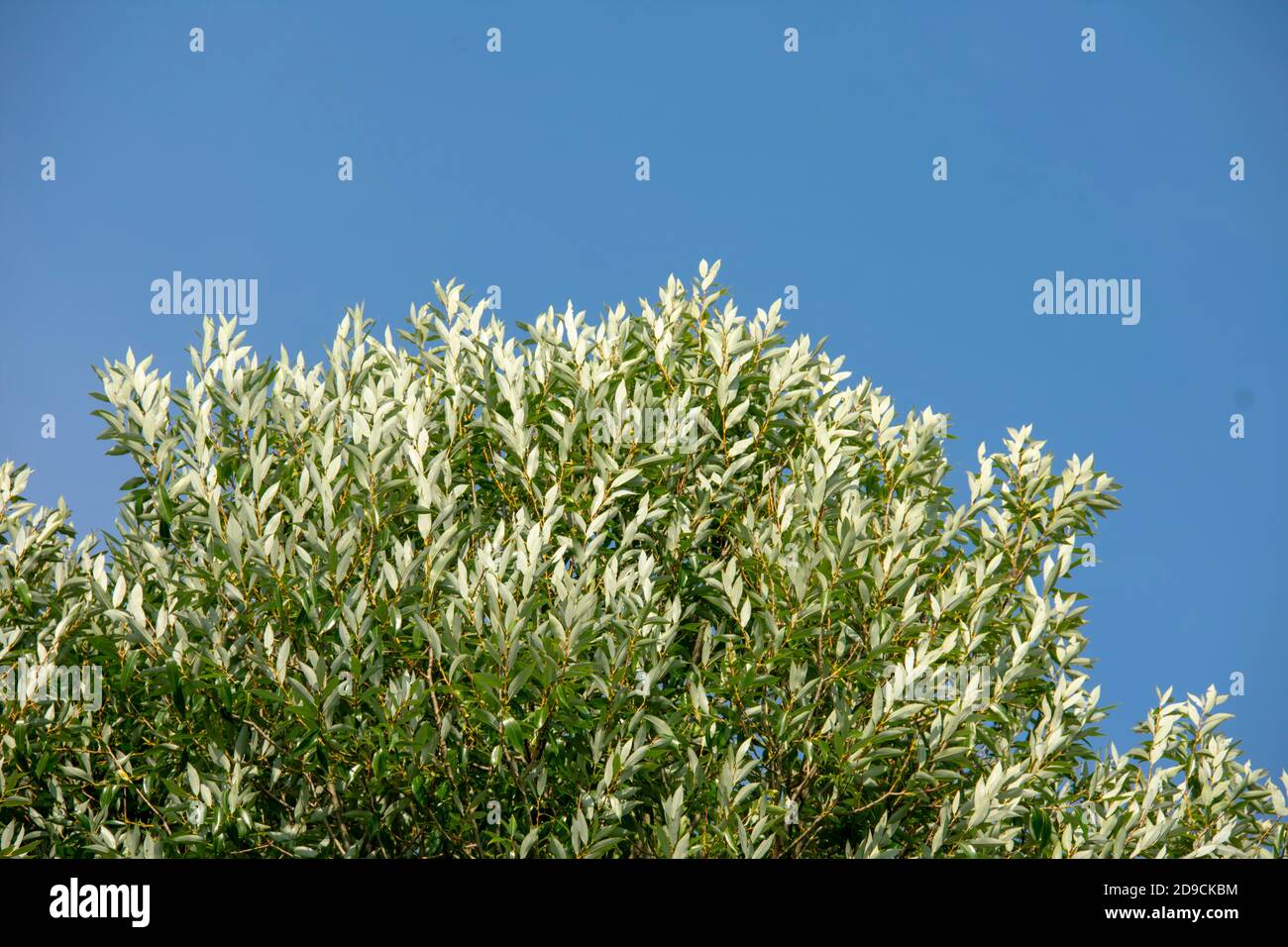 Buckow brandenburg germany hi-res stock photography and images - Alamy