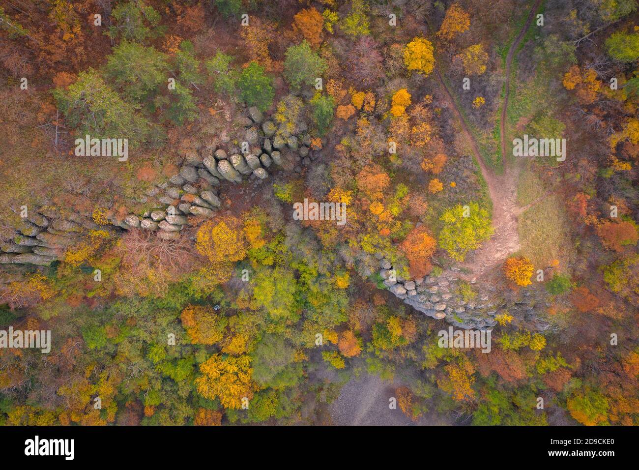 Basalt trees landscape landmark hi-res stock photography and images - Alamy