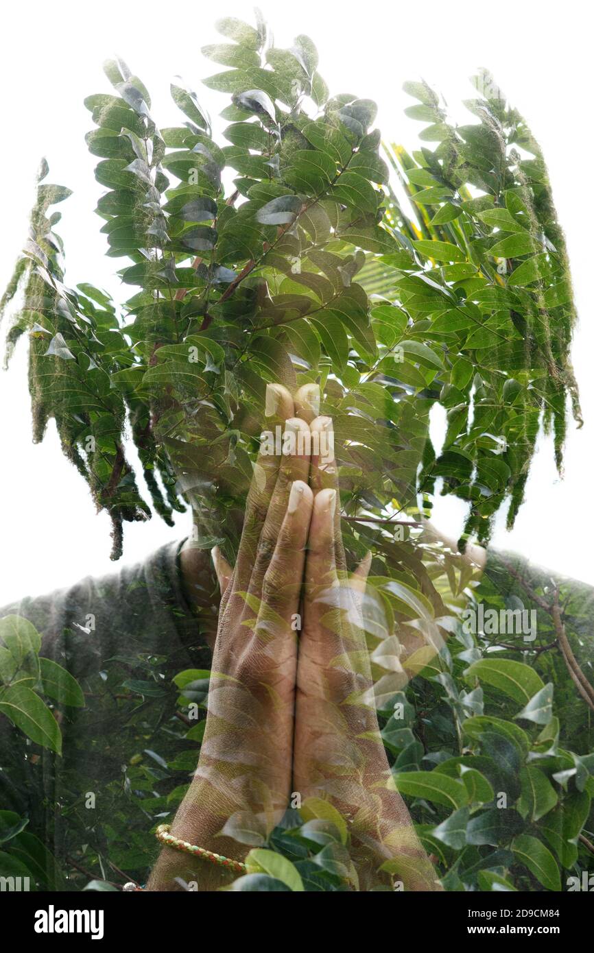 Young man double exposure portrait with leaves Stock Photo - Alamy