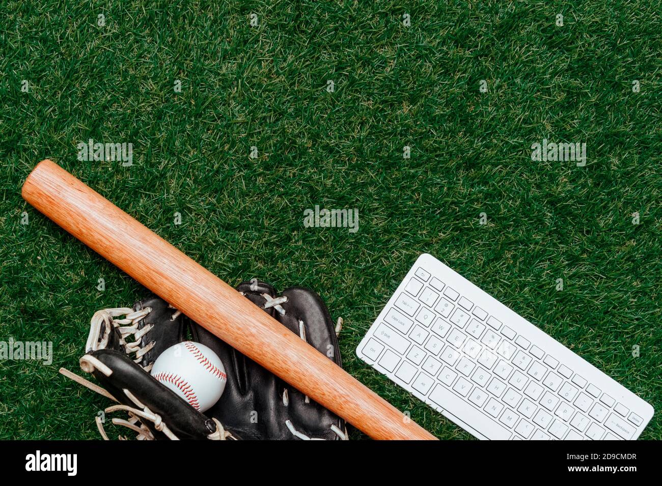 Baseball Field Grass Top View